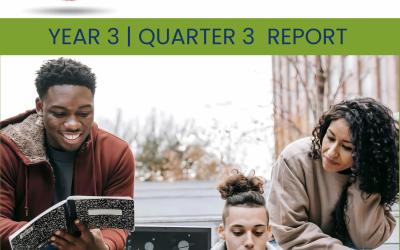Year 3 Quarter 3 AiiCE Report | Alliance for Interdisciplinary ...